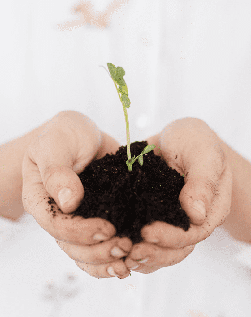 System Integration - Microtronics