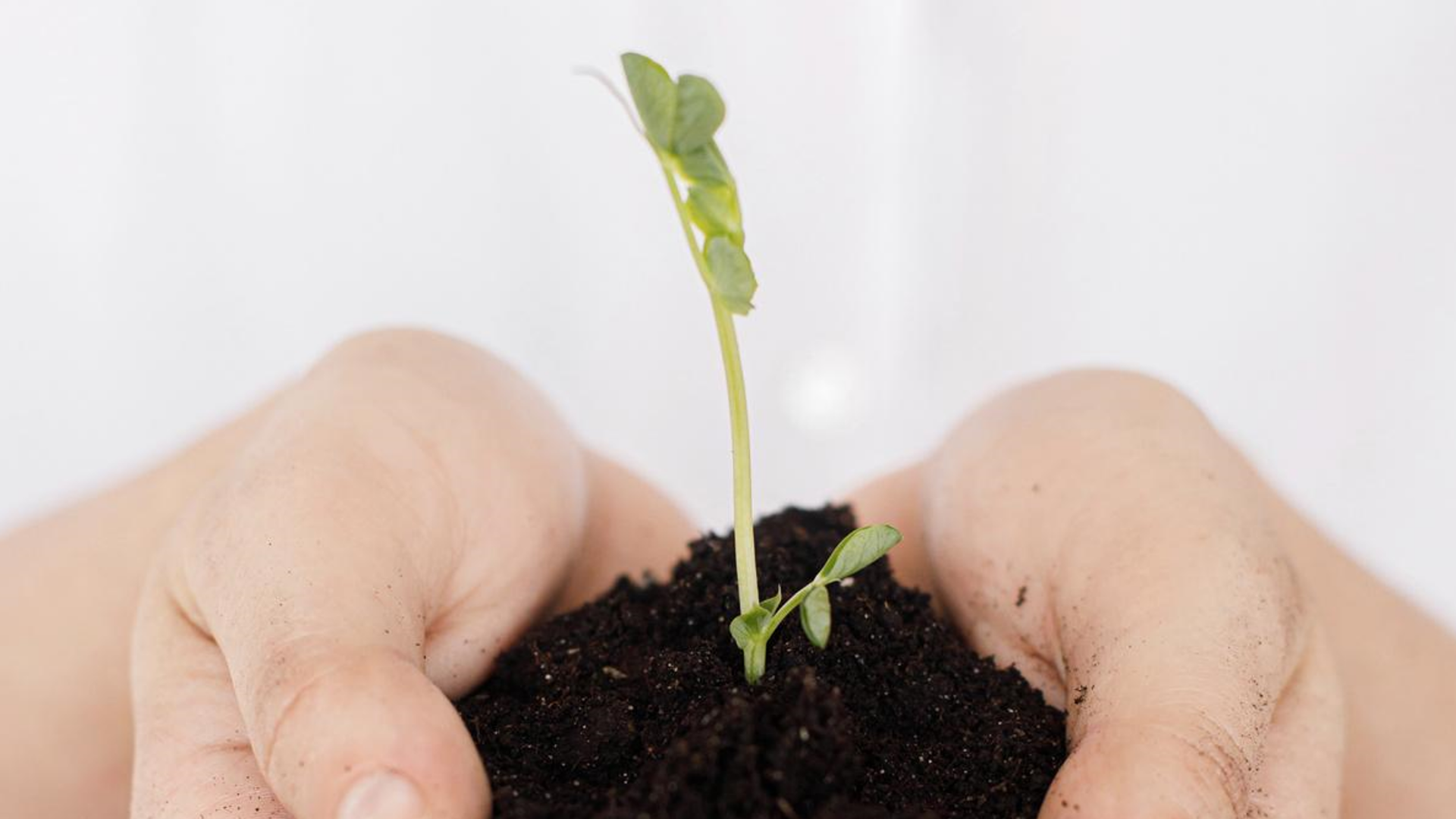 Has CSR evolved into ESG, or is it different? - Microtronics
